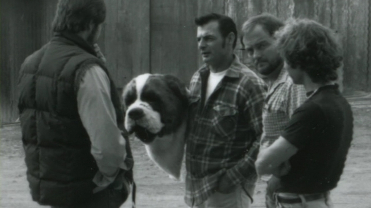 "Nope, Nothing Wrong Here" książka o tym jak powstawał film "Cujo"